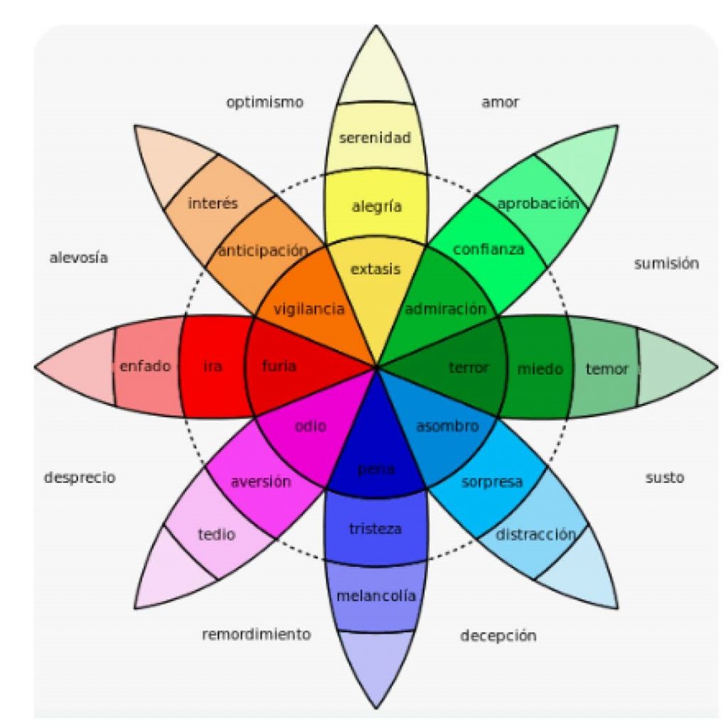 ¿Qué es la regulación emocional?